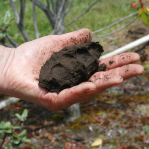SUSTAINABLE GARDEN: “Determine Your Soil Type” – TSKTECH.IN